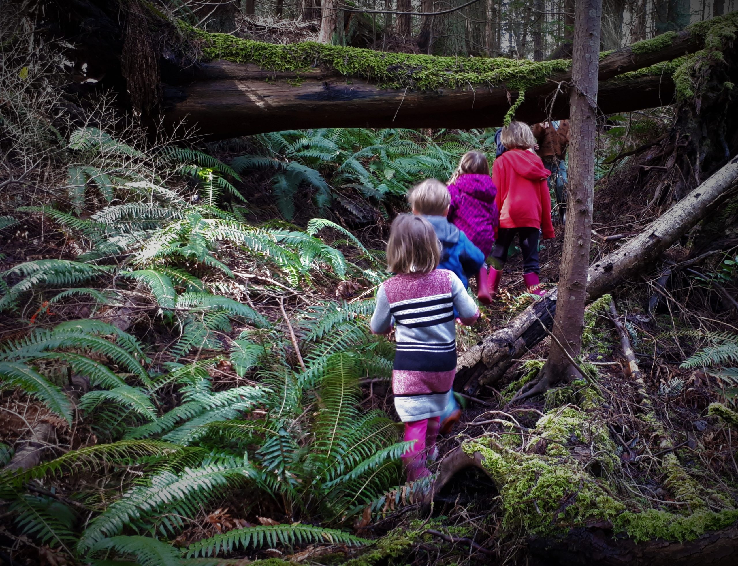 Build Your Own Overnight Adventure | Galiano Conservancy