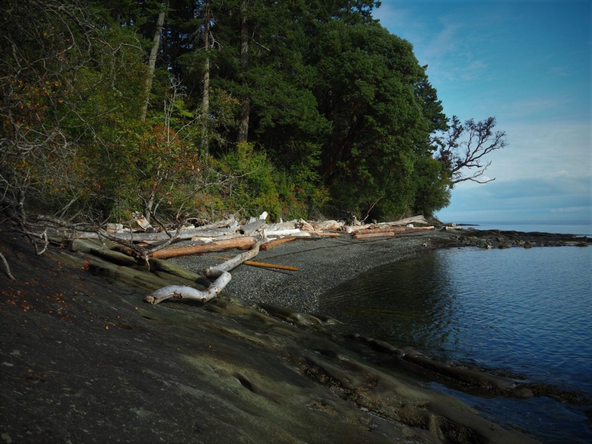 Qw’xwulwis – Cable Bay Conservation Area | Galiano Conservancy