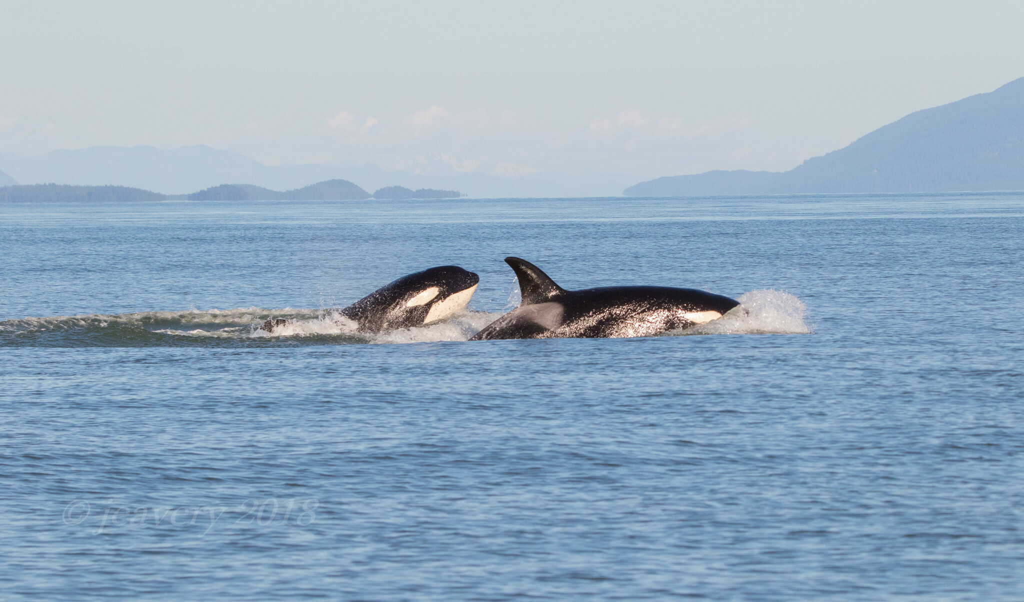 Single or Monthly Donations | Galiano Conservancy