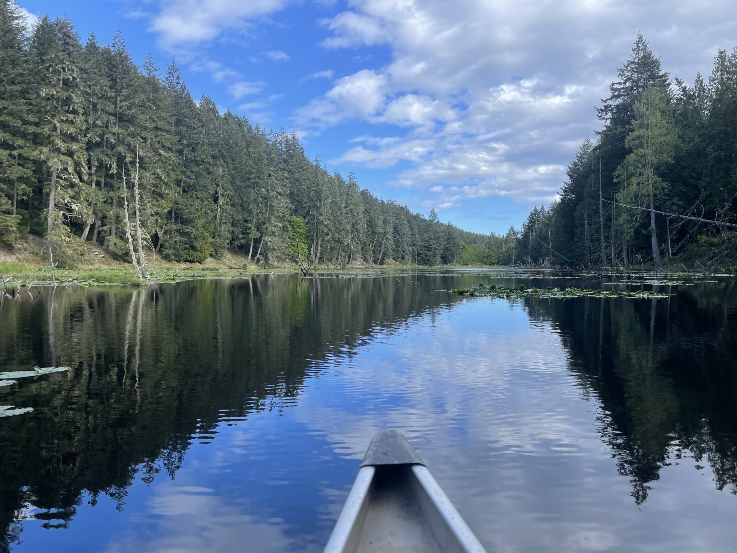 Nature Stewards Program | Galiano Conservancy Nature Stewards Program