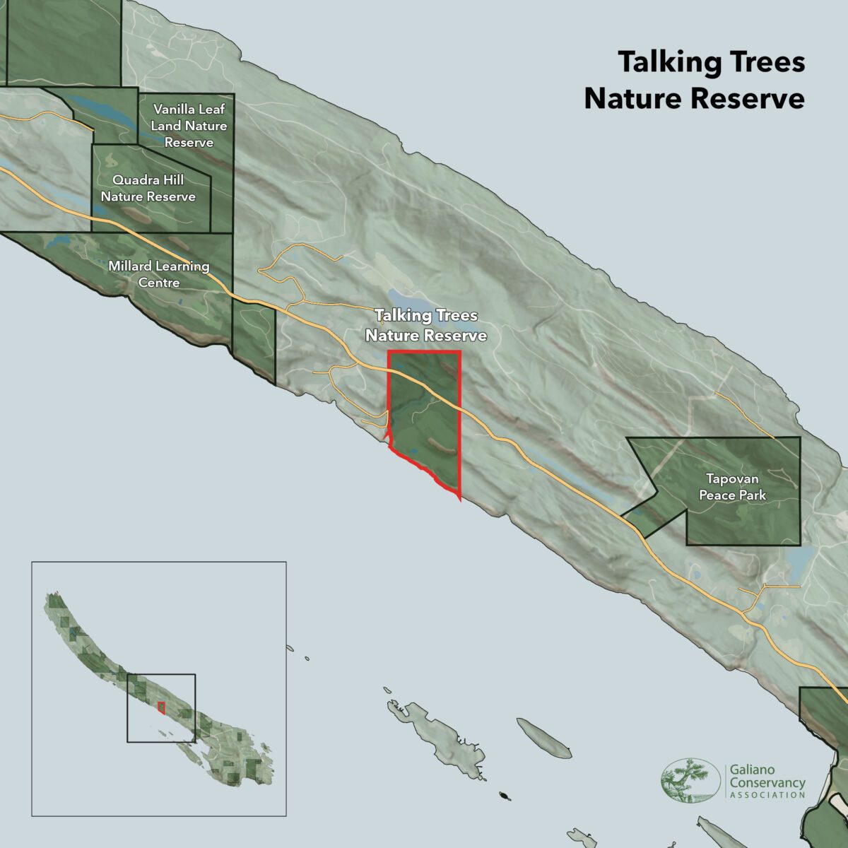 New Talking Trees Nature Reserve preserves 42 hectares of rare habitat ...