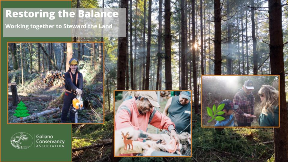 Restoring the Balance | Galiano Conservancy Restoring the Balance Project