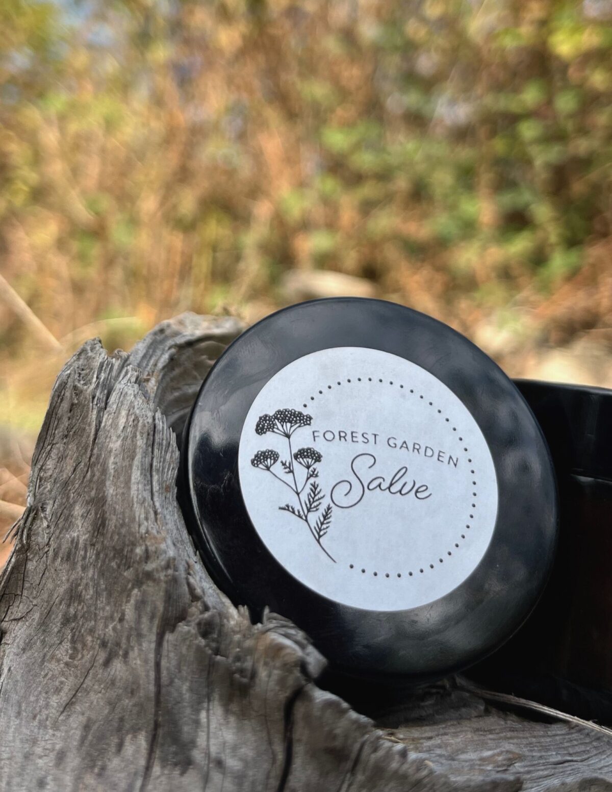 Wildcrafting Workshop: Forest Salve | Galiano Conservancy